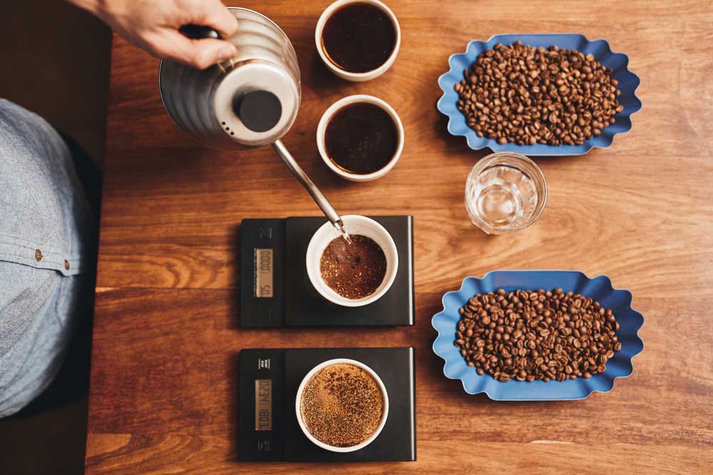 How Is Coffee Harvested? (From Plant To Bean And Everything In Between)